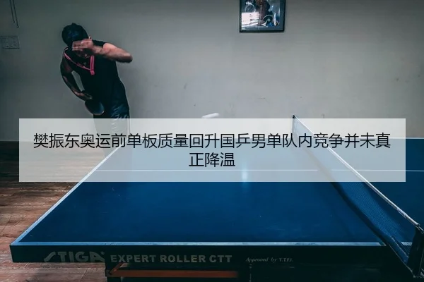 樊振东奥运前单板质量回升国乒男单队内竞争并未真正降温 - 斗鱼